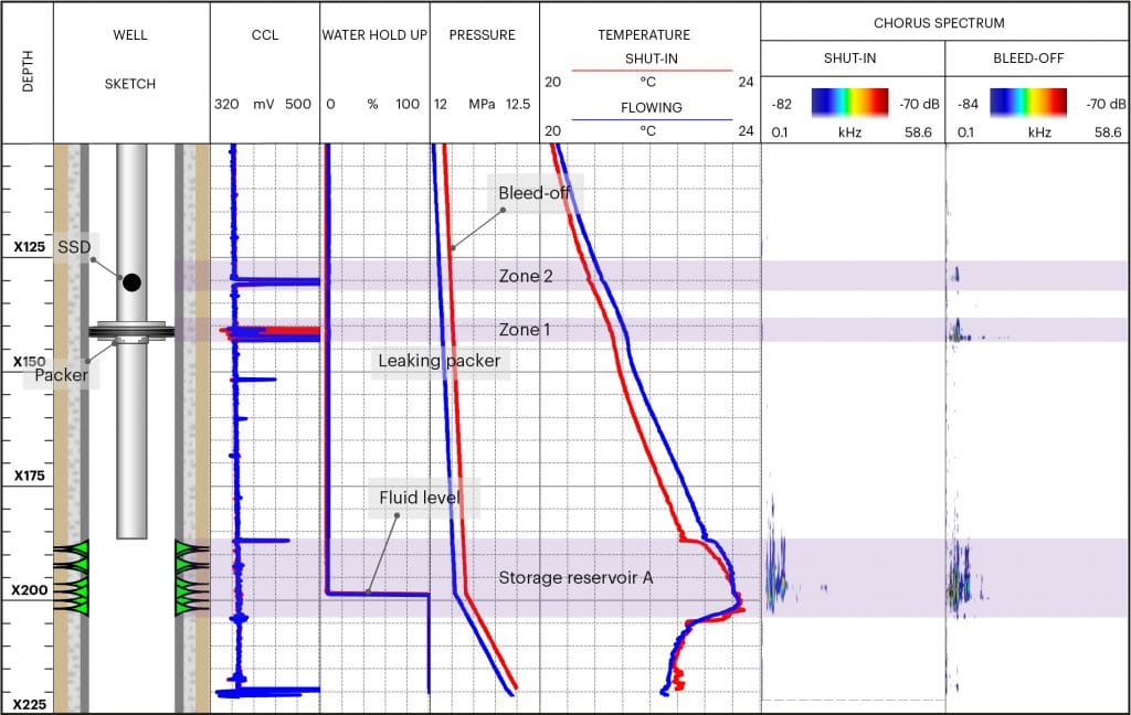 CS010 Packer Seal - TGT