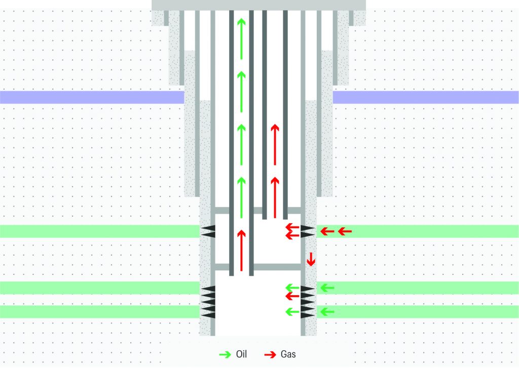 CS012 Dual String Flow - TGT